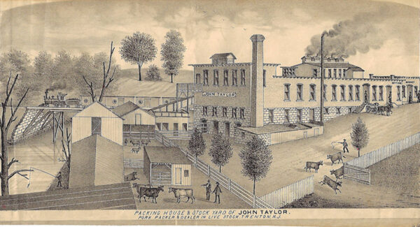 The Taylor Provisions Company - The Original Taylor Pork Roll